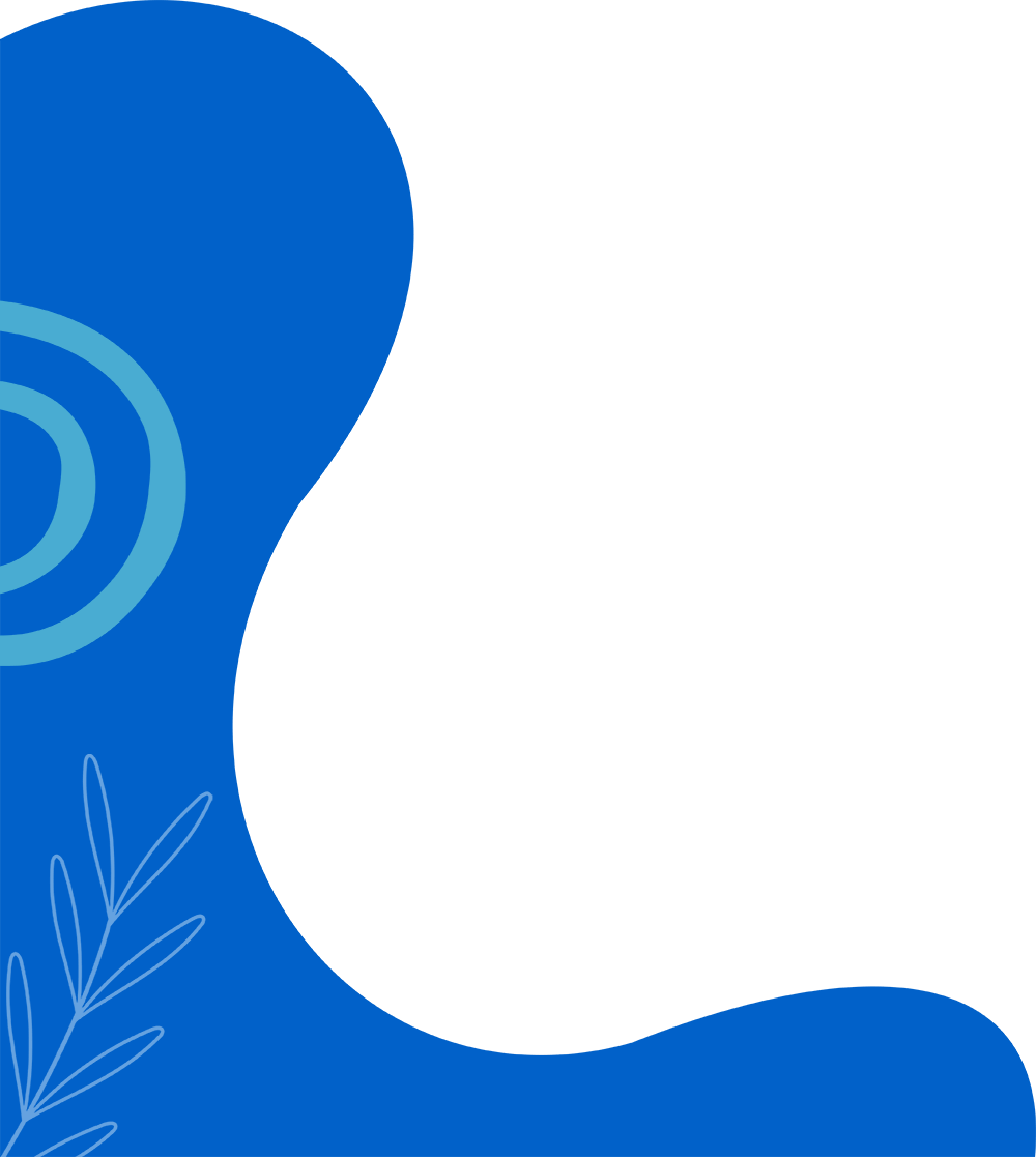 Accueil - AMC Investment